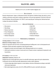 CPA Resume Example