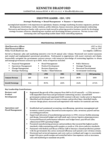 CEO / CFO Executive Resume Example